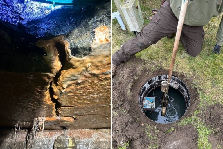 Septic Tank Backups: Causes, Warning Signs & Quick Fixes - Blog